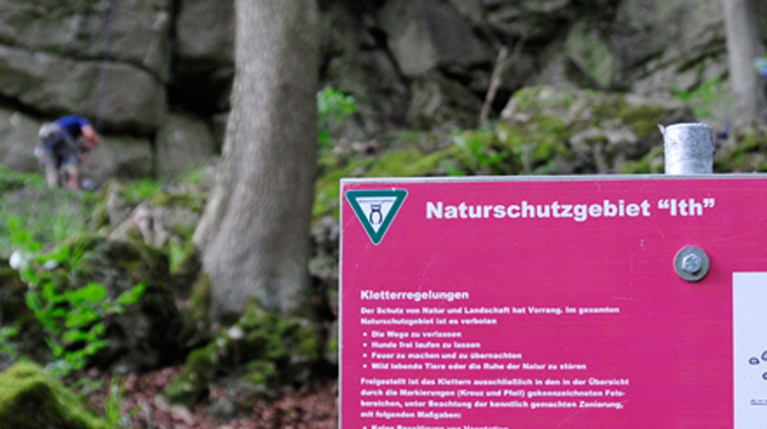 Clara Happ, Kletterin und Künstlerin aus Hildesheim, bei Bergauf-Bergab ...